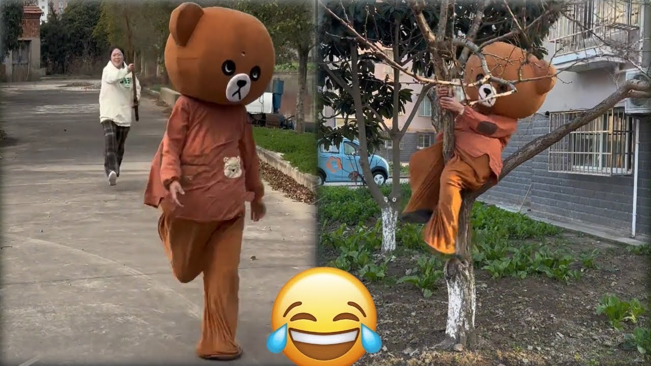 Panda funny viral video😅 Try not to laugh - YouTube