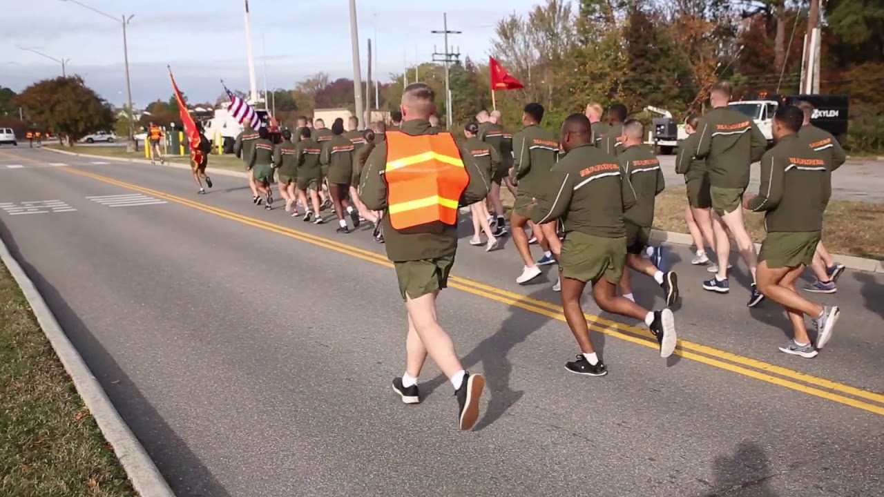7th Annual U.S. Marine Corps Forces Command Birthday Run - YouTube