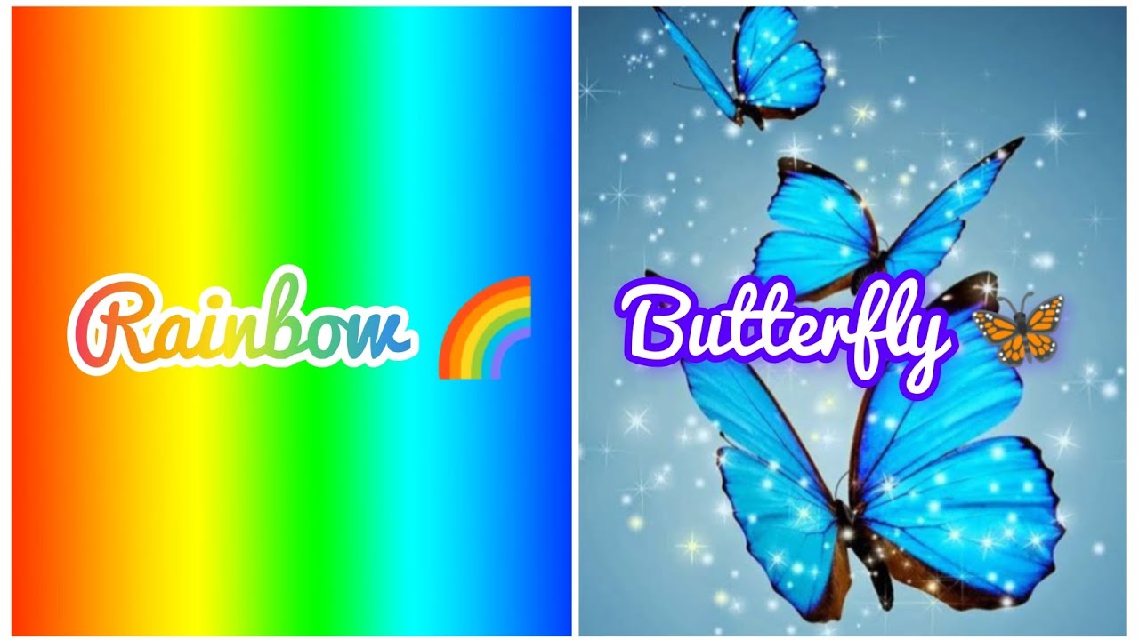 rainbow 🌈 vs butterfly 🦋#trending#trendingvideo#video#viralvideo# ...