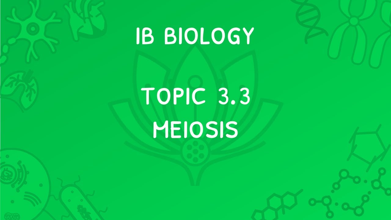 IB Biology Topic 3.3: Meiosis & Fertilisation - YouTube