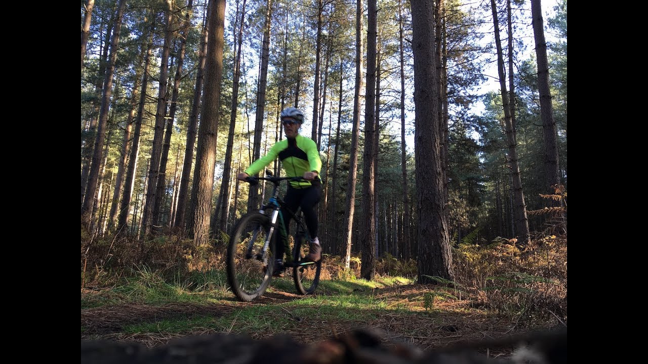 Cycling in Thetford Forest - YouTube