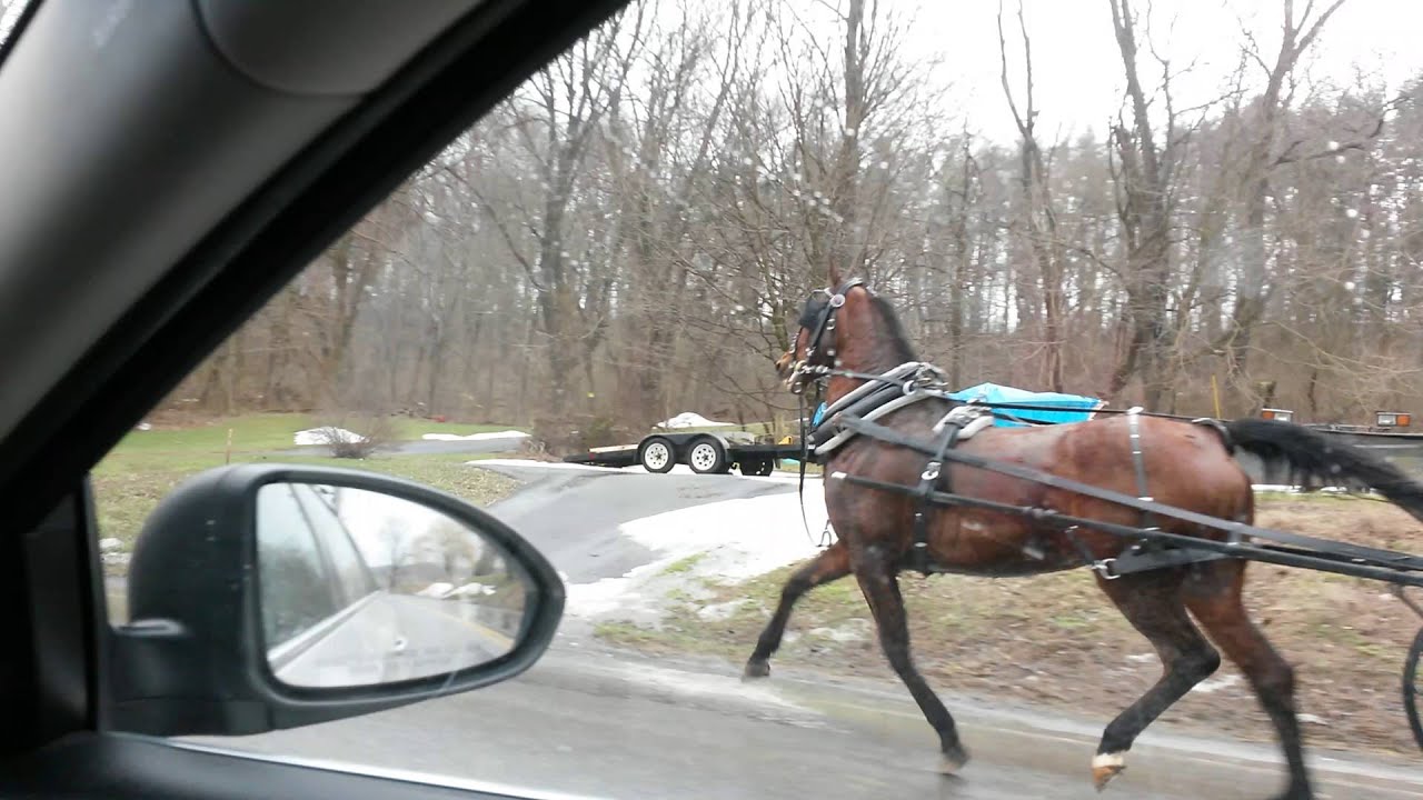 "In a f*cking Amish traffic jam..." - YouTube