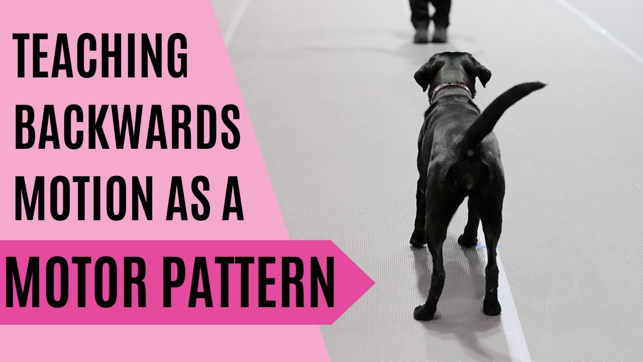 Teaching Backwards Motion as a Motor Pattern for Position Changes - YouTube