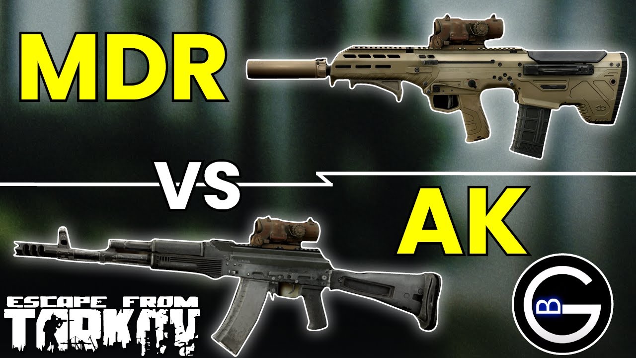 MDR vs AK! Which is the Best Budget Assault Rifle in 12.11? #ad - YouTube