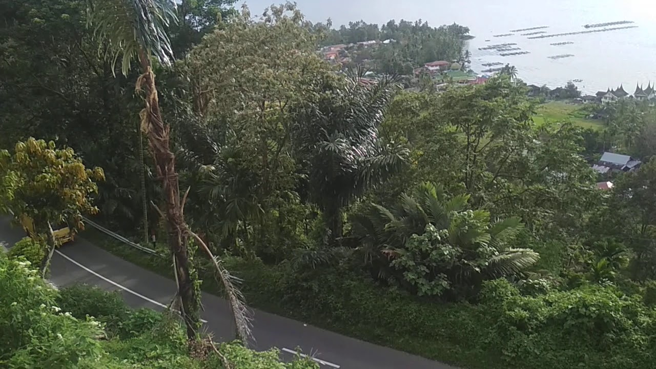 Truk ikan oleng oleng parah😱😱😱 - YouTube