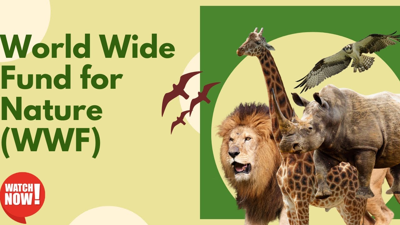 World Wild Fund For Nature (WWF)|UPSC CIVIL SERVICES|2025|#upsc#ias # ...