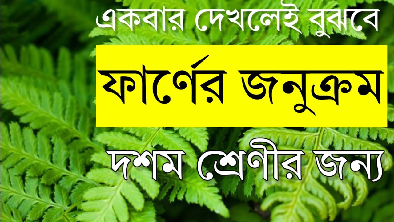 Alternation Of Generation Class 10 Life Science alternation-of-generation-class-10-life-science