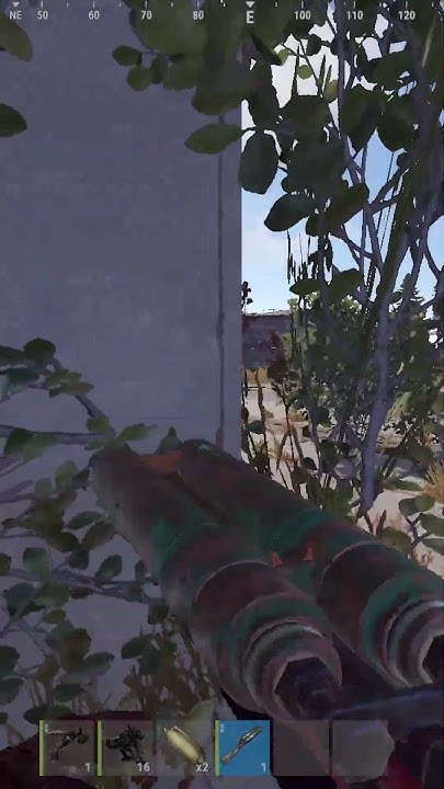 UNEXPECTED GUESTS ON RUST WHILE RUNNING WATER TREATMENT - YouTube