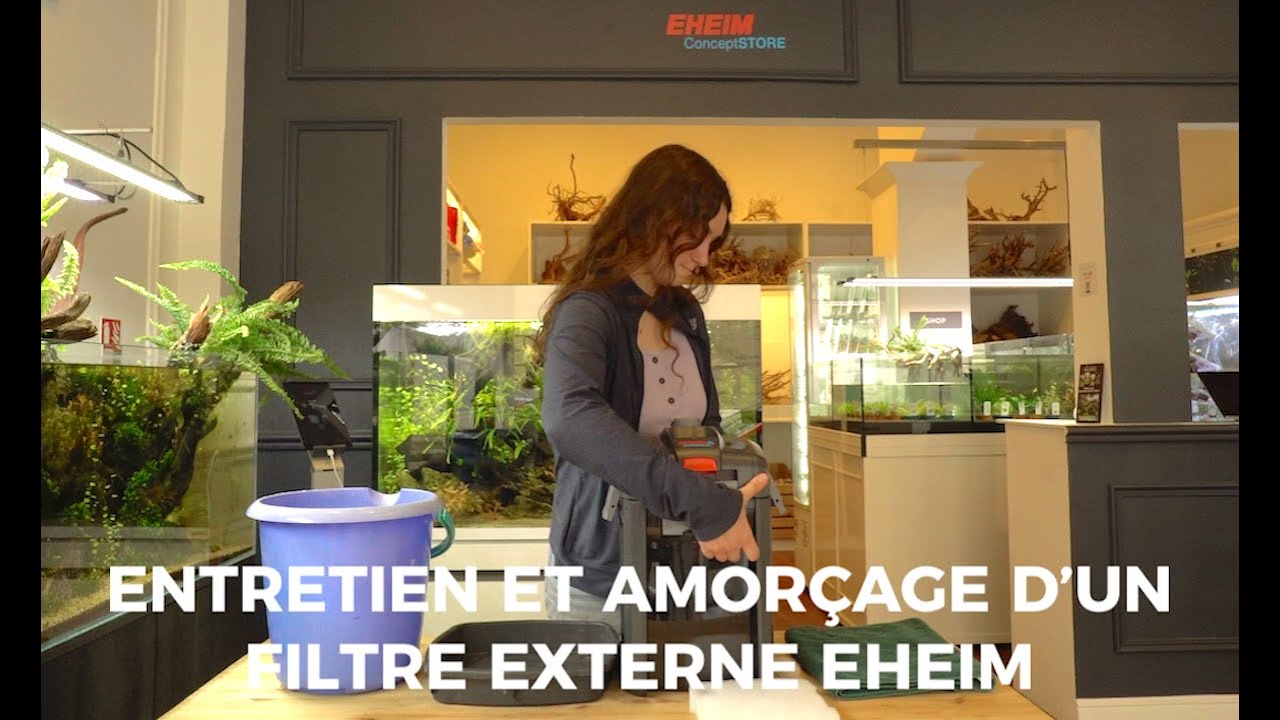 Comment entretenir et amorcer un filtre EHEIM ? - YouTube