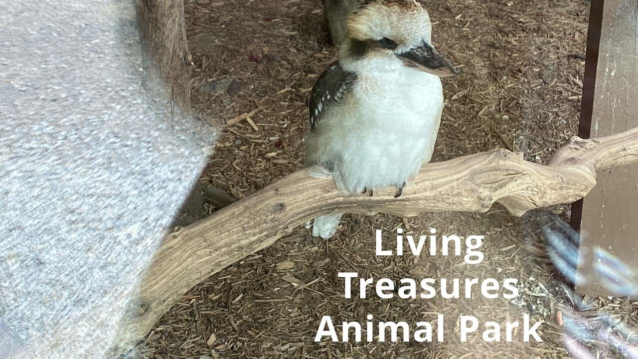 Walkthrough of the Living Treasures Animal Park - YouTube