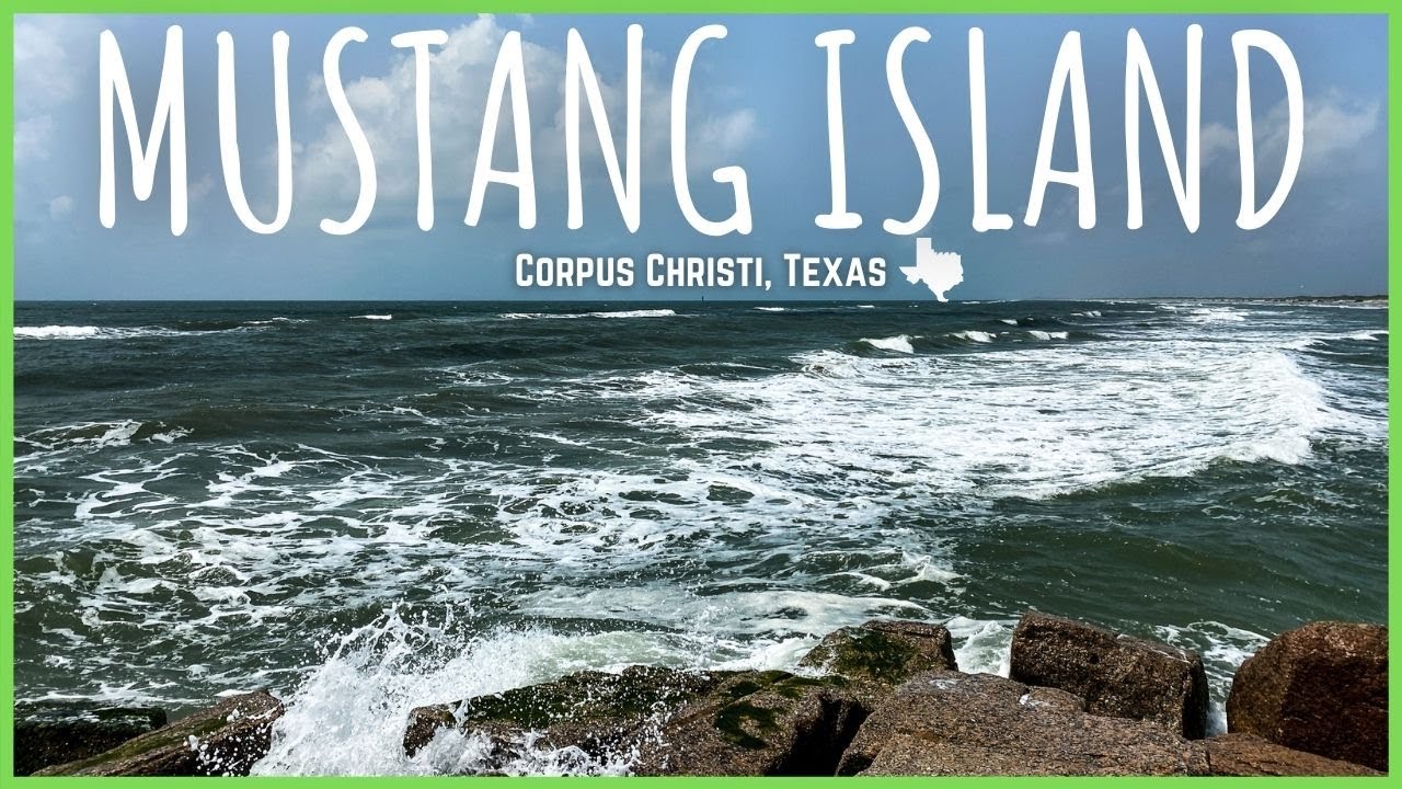 Discover the Wonders of Mustang Island State Park in Texas! - YouTube