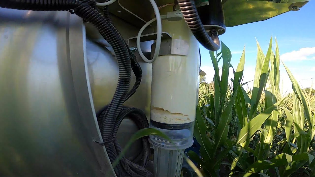 Company Targets Large-Scale Pollen Preservation - YouTube