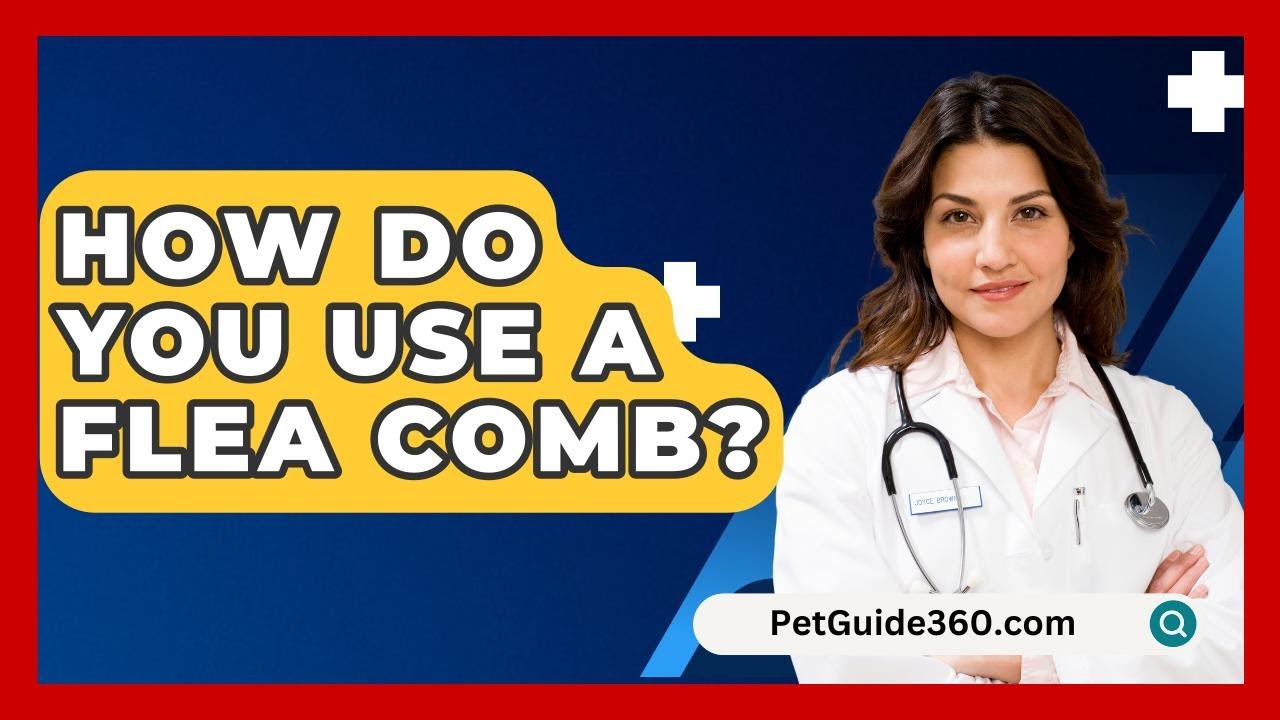 How Do You Use A Flea Comb? - PetGuide360.com - YouTube