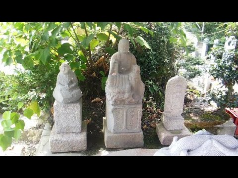 Quiet Temple Stroll in Japan