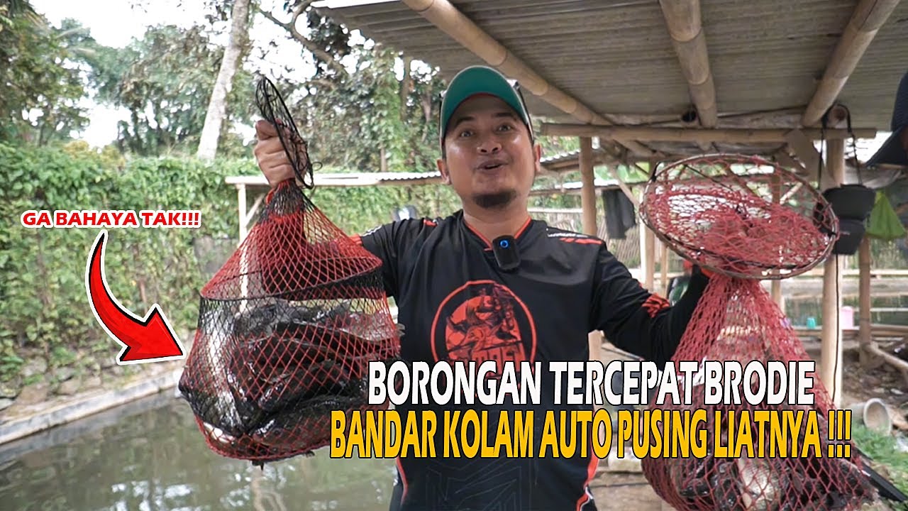 2 JAM NGURAS KOLAM BRODIE IKAN TANEMAN AUTO MASUK KORANG SEMUA BANDAR ...