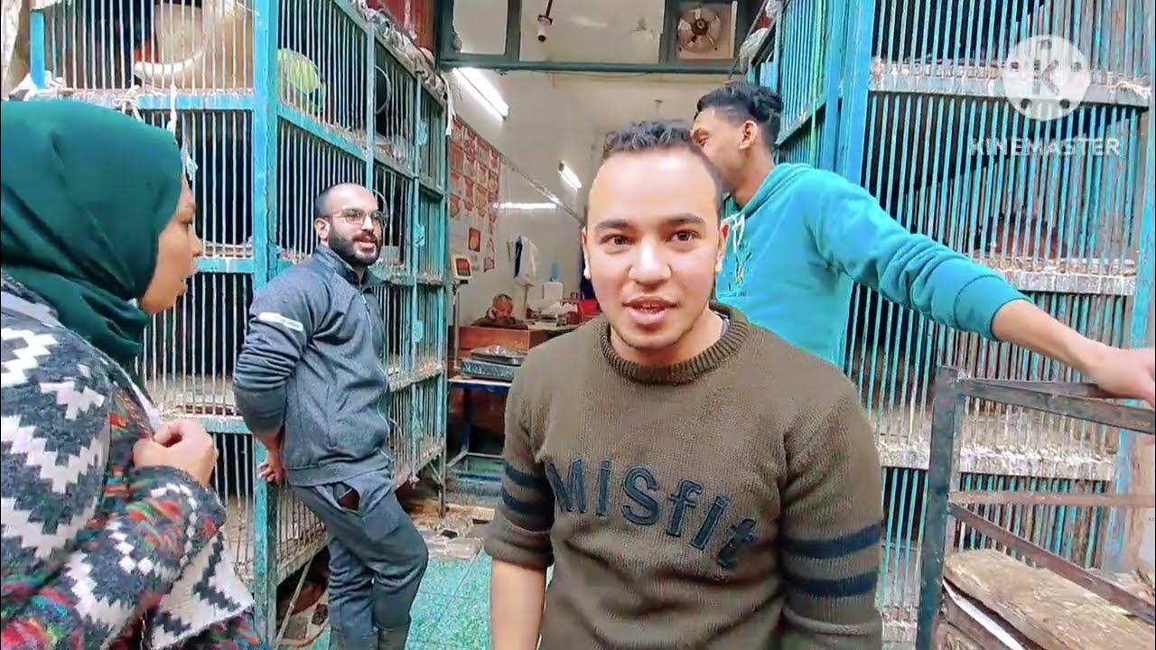 كيلو خيار يعادل 2 5 كيلو موز بلدي بنقطه استغراب الناس اسعارالخضروات
