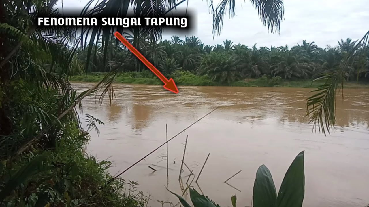 Sungai tapung kabupaten Kampar Riau - YouTube