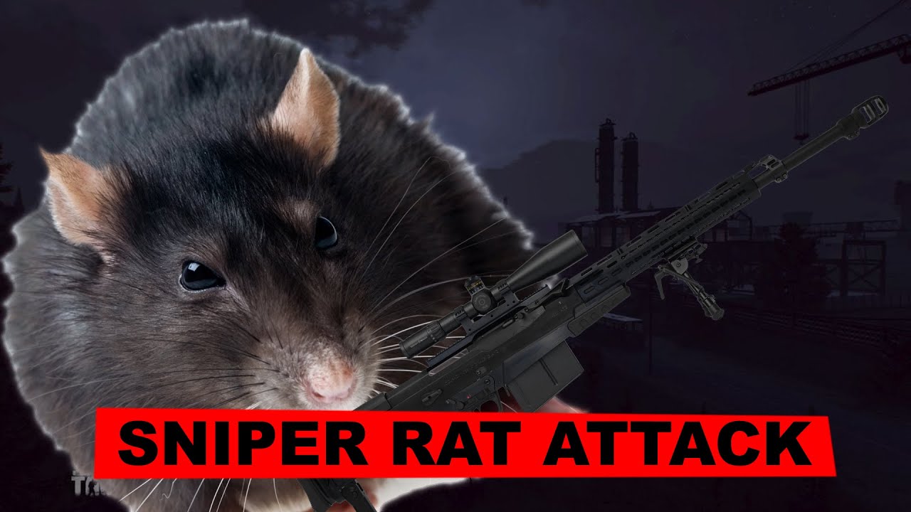 Escape From Tarkov- Sniper rat attack - YouTube