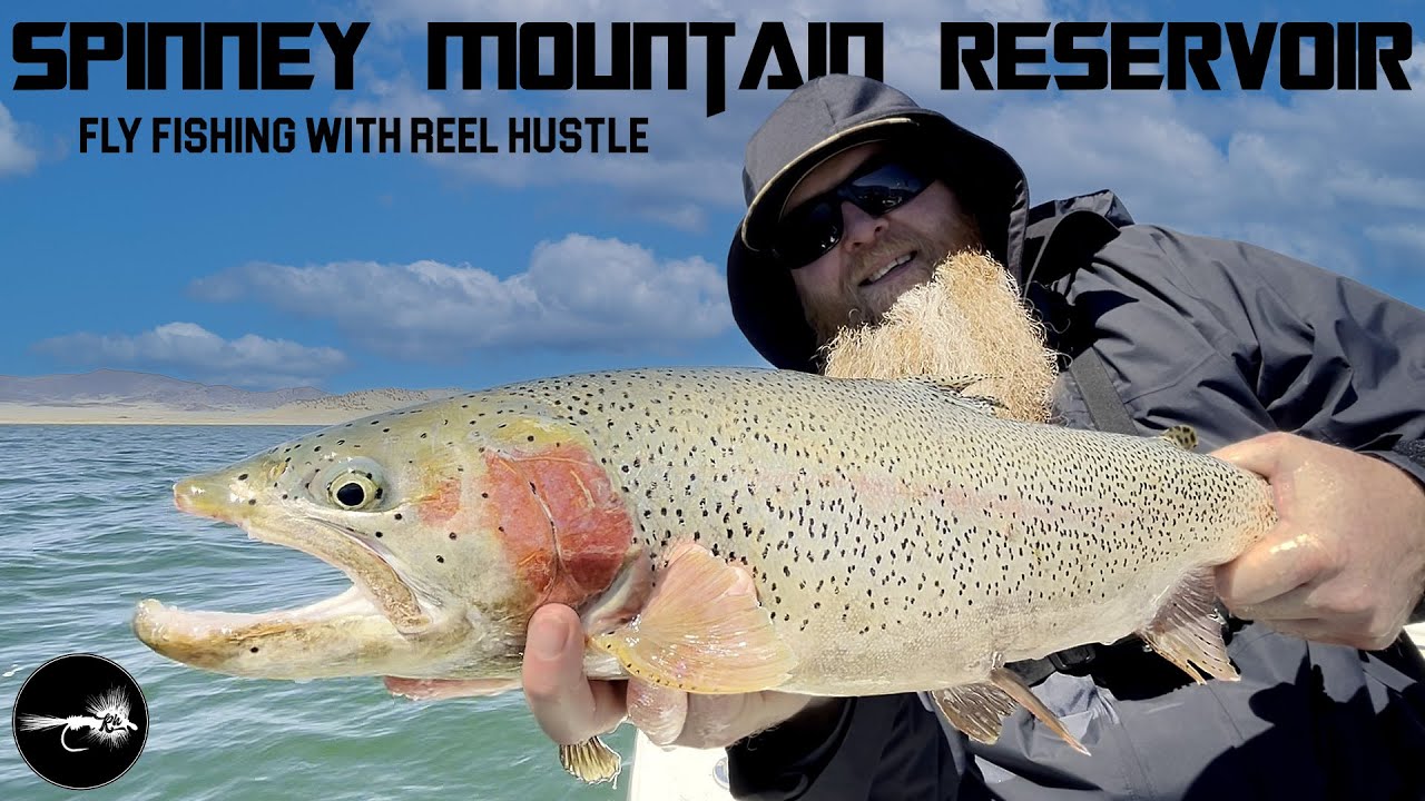 'Fly Fishing Spinney Mountain Reservoir For Large Trout w/ Reel Hustle ...