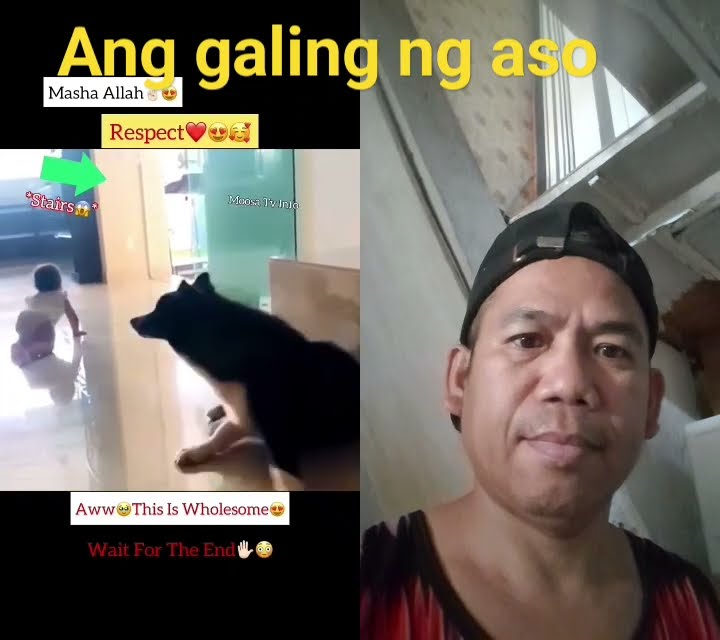 ang galing ng aso - YouTube