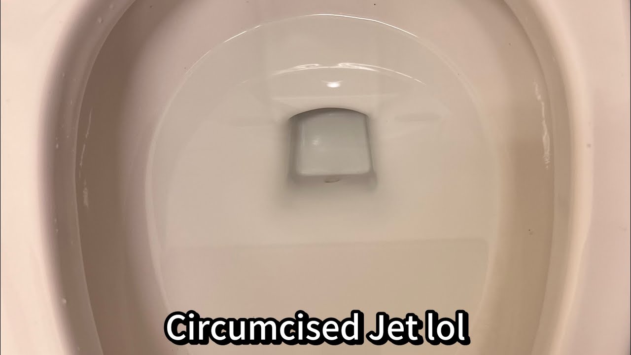 Early 2000s Eljer Signature Toilets - YouTube