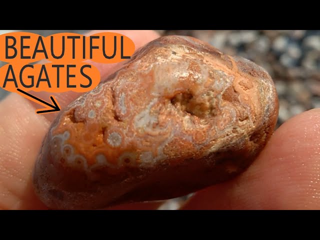Lake Superior Agate Hunting