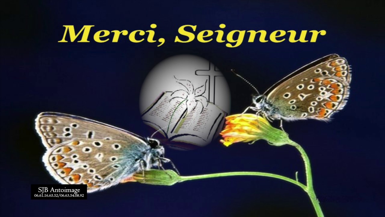 Merci SEIGNEUR le 03/02/2017 - YouTube
