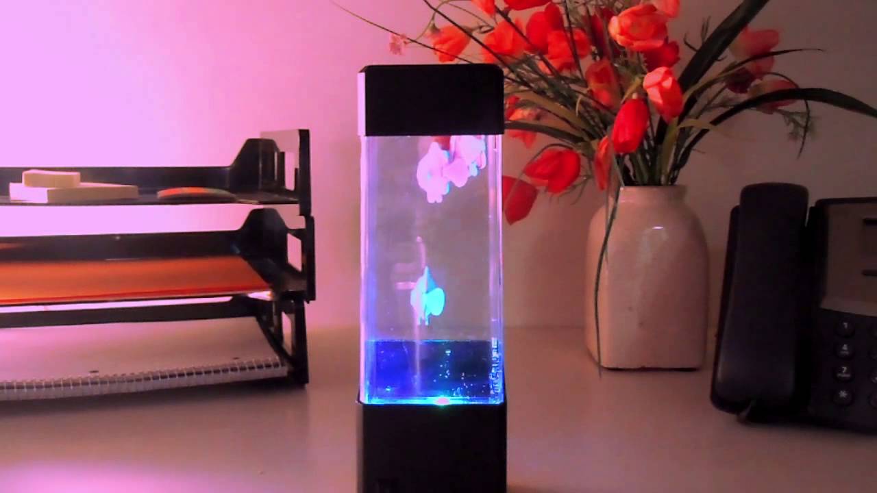 Tropical Fish Tower - YouTube