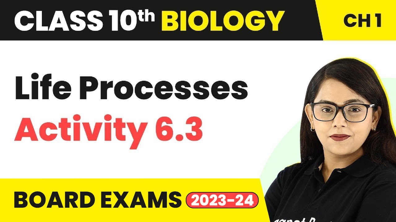 Life Processes - Activity 6.3 | Class 10 Biology - YouTube