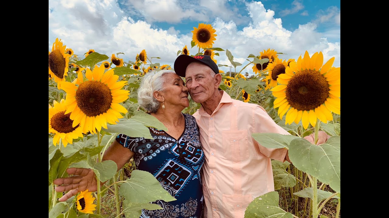 RESEÑAS SOBRE VIDA FAMILIAR AURELIO GRULLON, Aqui en vivo desde La ...