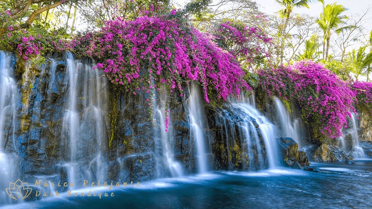 ULTRA RELAXING ZEN MUSIC Healing Relaxation of Stress and Anxiety ...