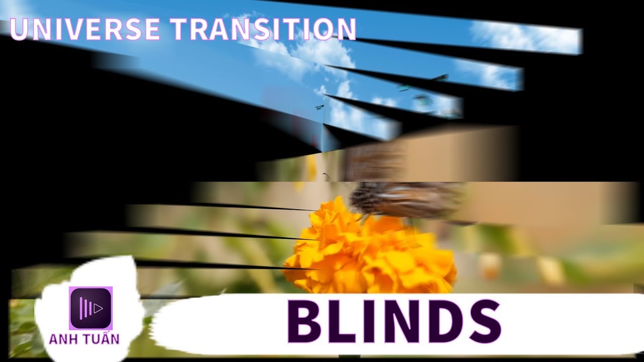 UNIVERSE TRANSITION BLINDS - YouTube