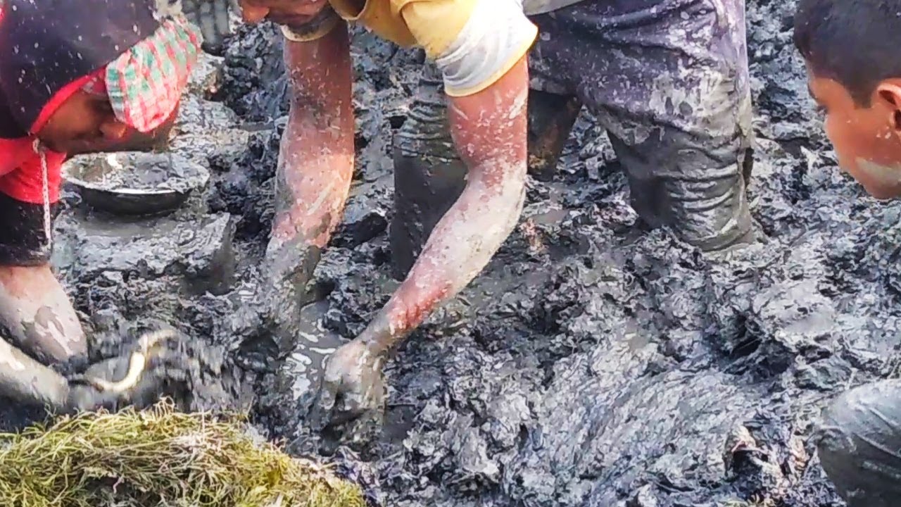 Finding & Catching Fish In Deep Mud | Best Hand Mud Fishing Video - YouTube