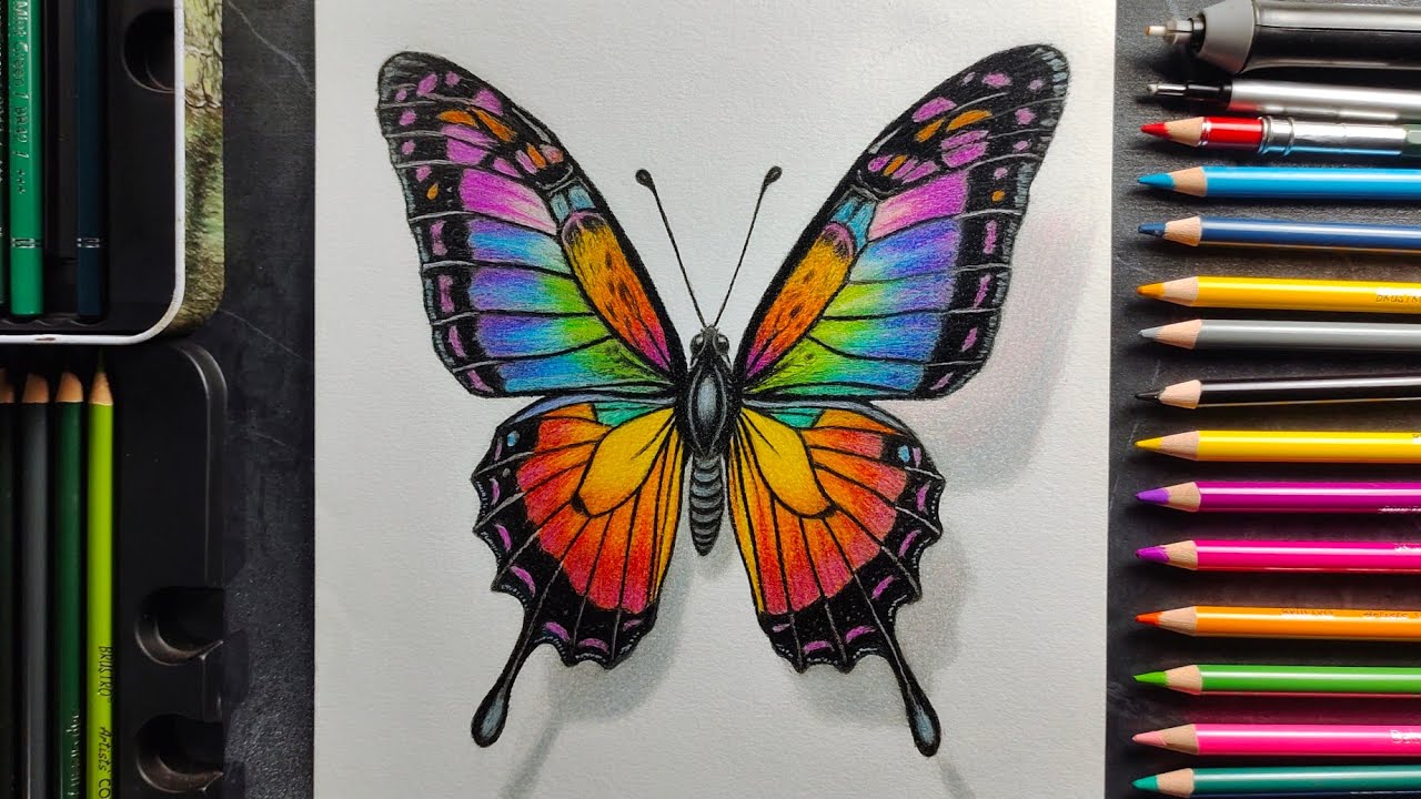 Realistic Butterfly Drawing | Colour Pencil Timelapse Art - YouTube
