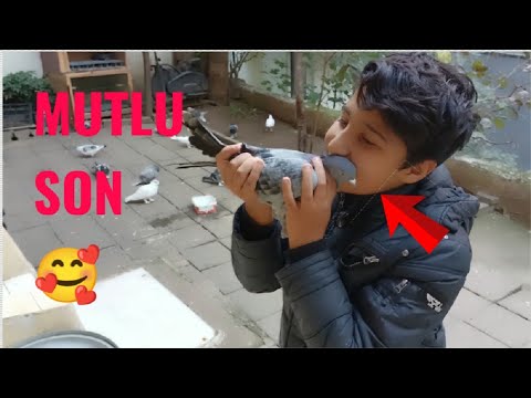 Emiri En sevdiği Güvercini Öldü Diye Trolledim. ( Ağladı )