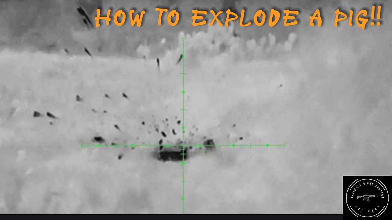 How to EXPLODE a Pig!! - YouTube