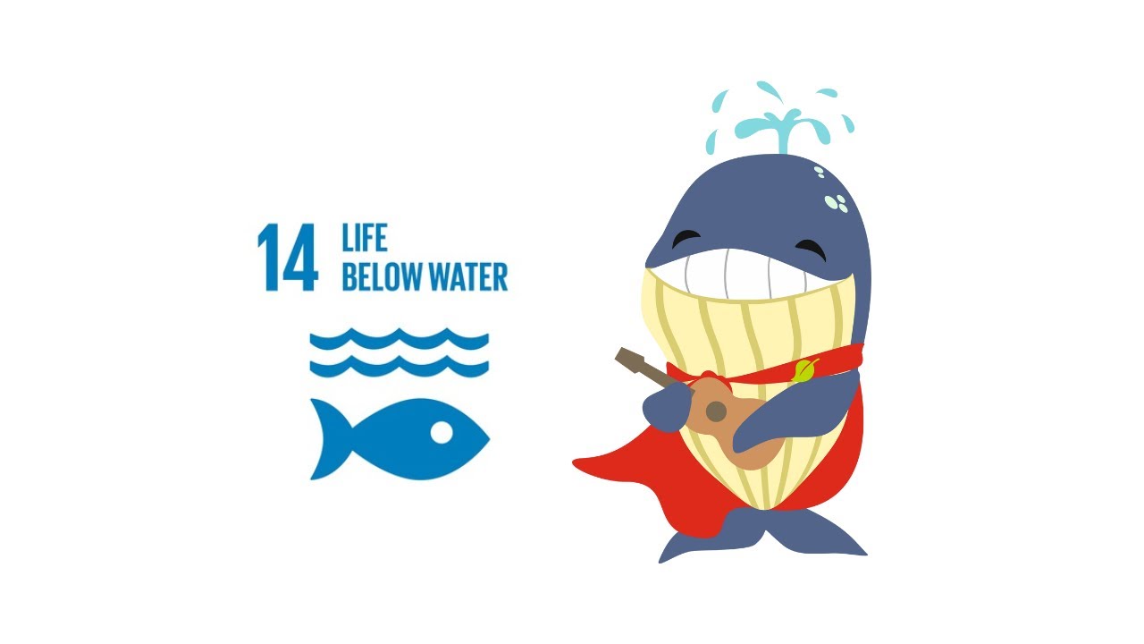 Life Below Water - YouTube