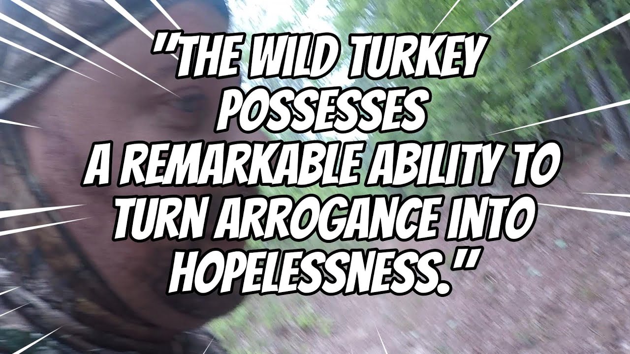 A HUMBLE Turkey Hunt - YouTube