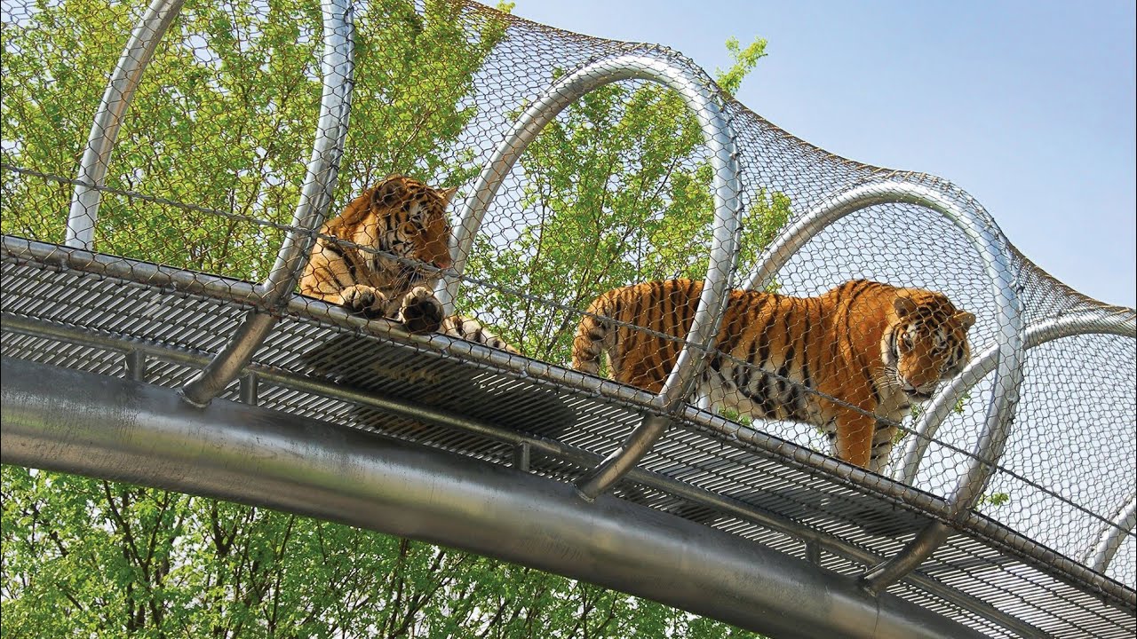360 Zoo || DHA Multan - YouTube