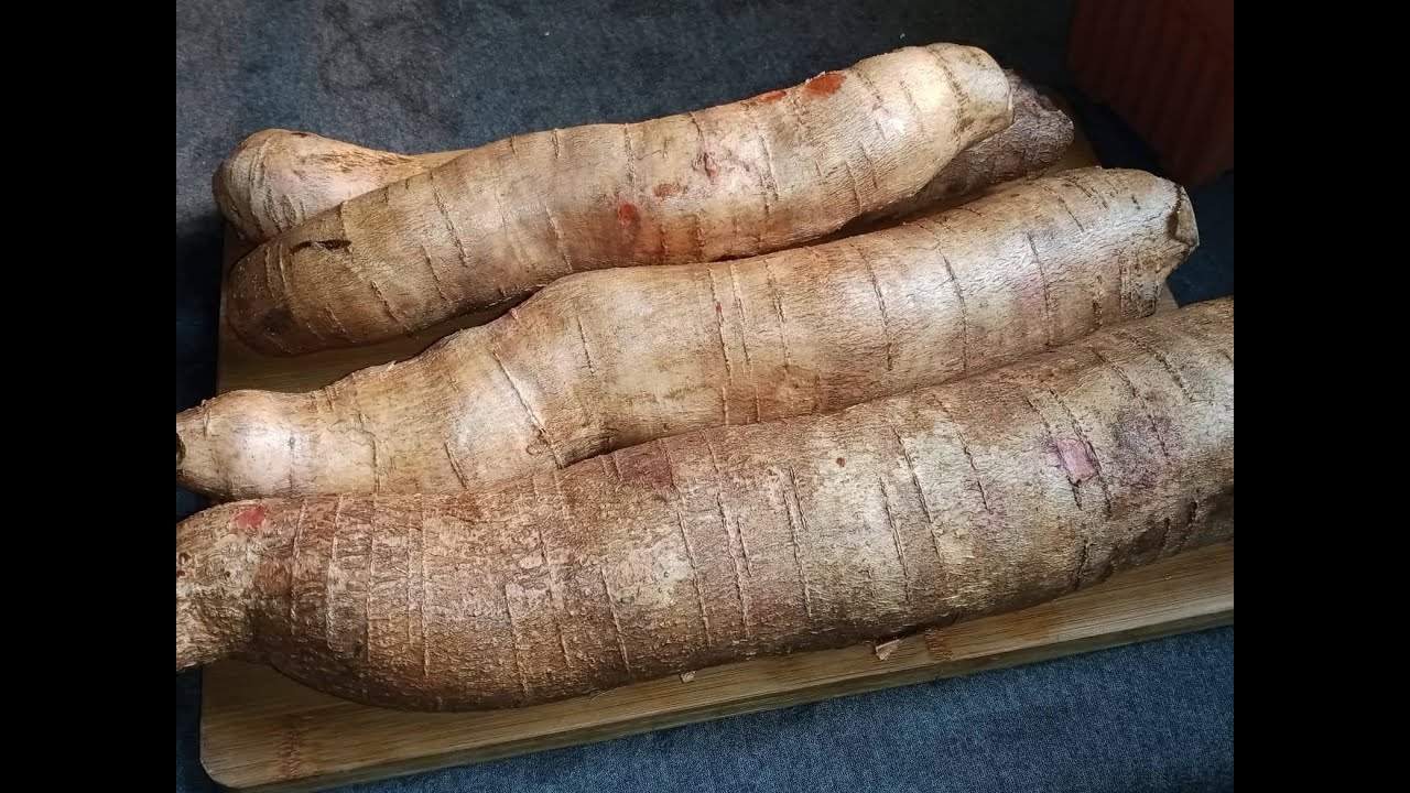 শিমুল আলু রেসিপি | Cassava Recipe | শিমুল আলু দিয়ে নাস্তা রেসিপি ...