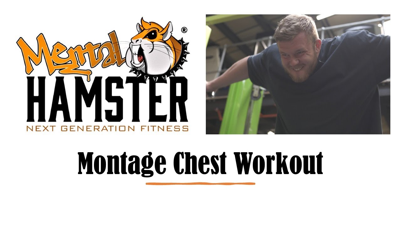 Crushing my Chest at Mental Hamster Gym (Aarron Lambo's Gym) - YouTube