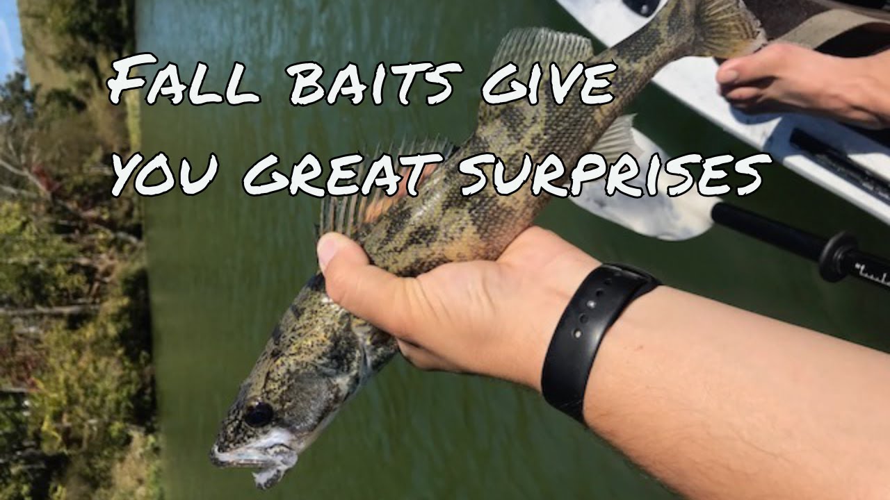 Ascend 128T Kayak Fall Fishing in Kentucky - YouTube