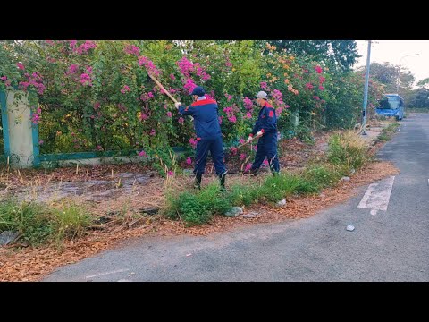 Renewed 300 meters of abandoned sidewalk, overgrown with grass, with an ...