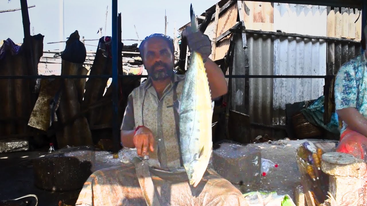 THOLE PARAI FISH CUTTING|VD185|KASIMEDU FISH CUTTING|PULICAT ANGLERS ...