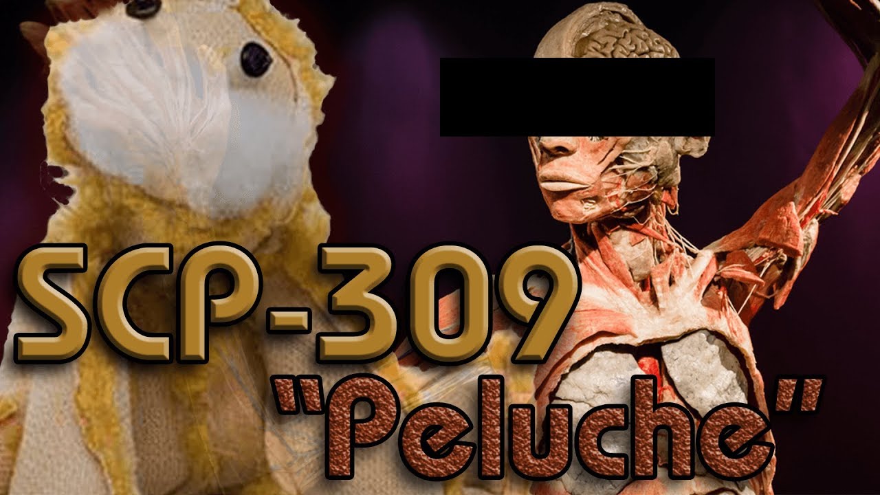 💀SCP-309💀 [ITA] "Peluche" - YouTube