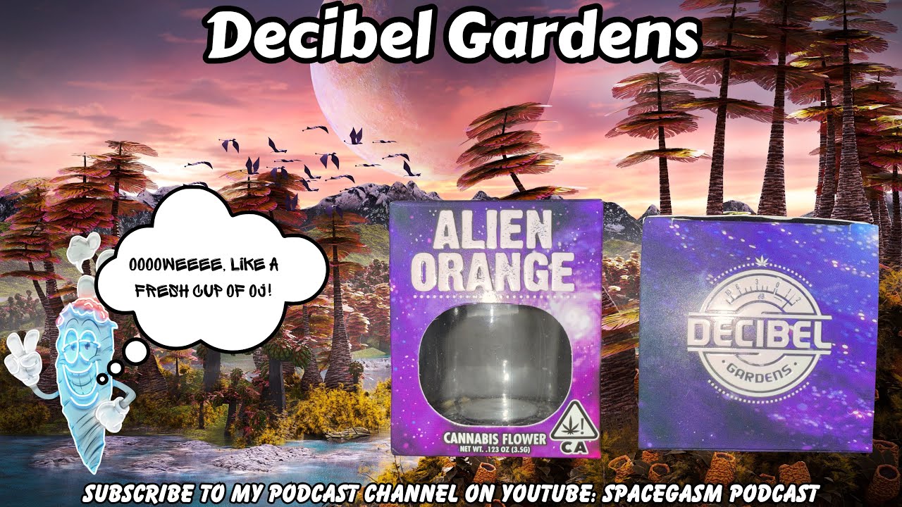 DECIBEL GARDENS STRAIN REVIEW:Alien Orange (🧑‍🚀👽🍊) This One Is For The ...