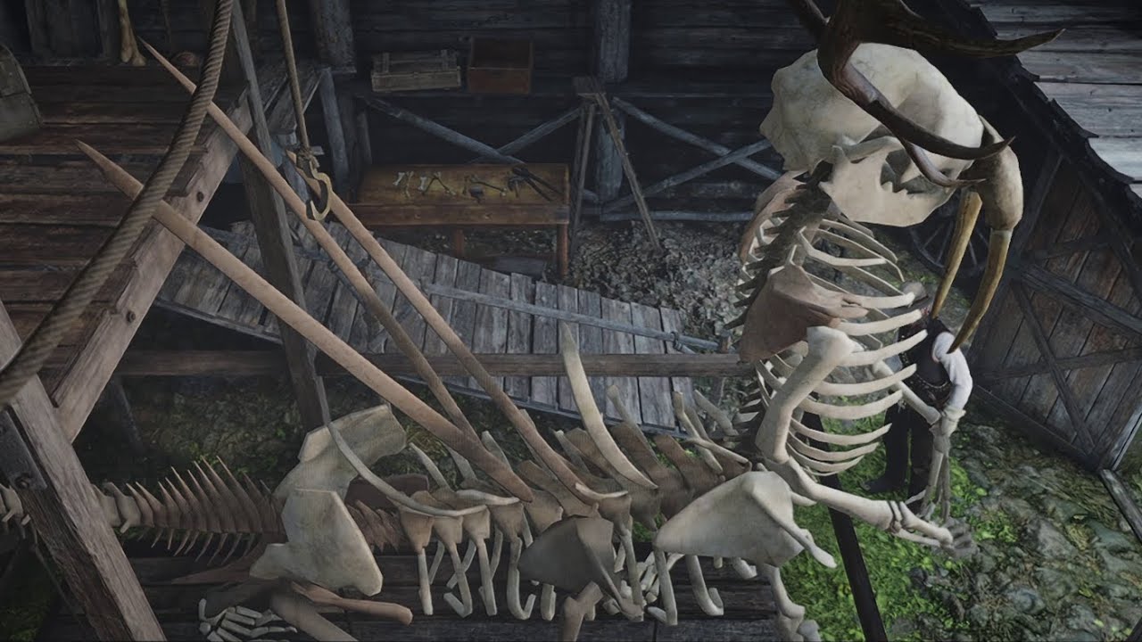 Totalisaurus West Elizabethus - Meeting The Dinosaur Bones Lady Deborah ...