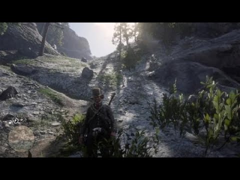 Red Dead Redemption 2 High Stakes Treasure Map 3 Location - YouTube
