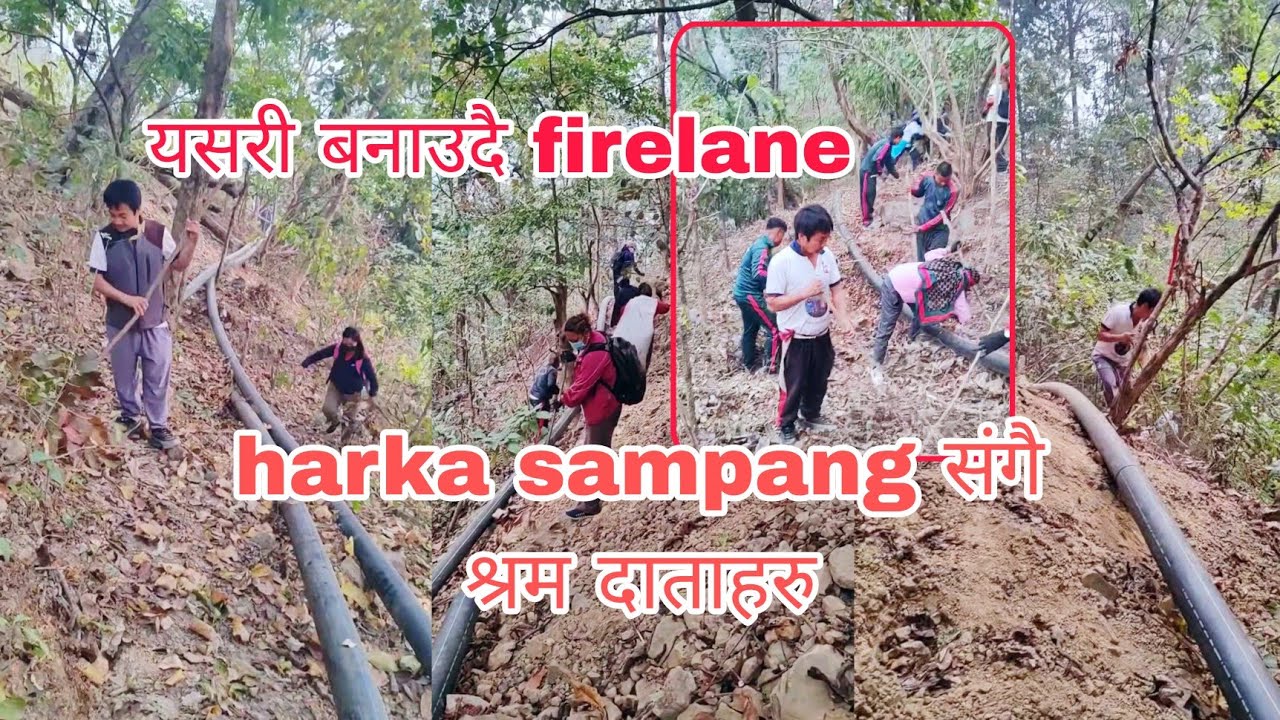 मेयर हर्क साम्पाङ यस्तो गर्दै जङ्गल तिर। Mayor Hark Sampang is doing ...