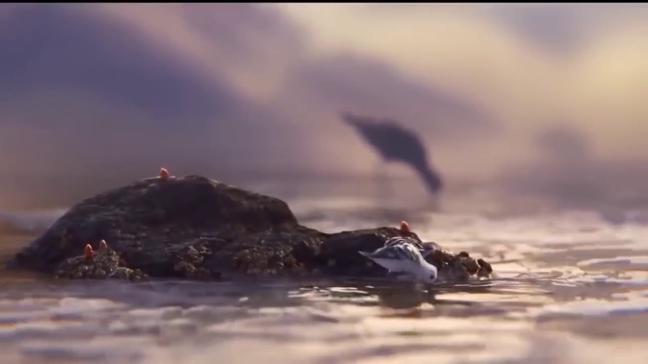 Piper Disney pixar short inspiring video - YouTube